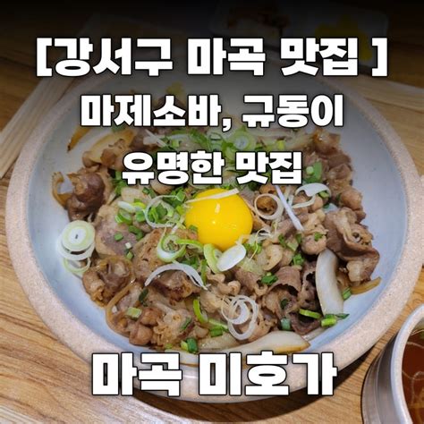 강서구 마곡 미호가 마제소바와 규동이 맛있는 맛집 내돈내산후기주차 네이버 블로그