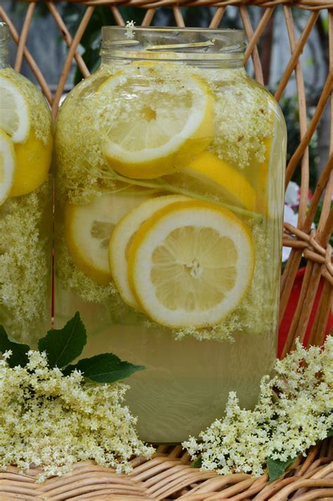 Socata Caietul Cu Retete