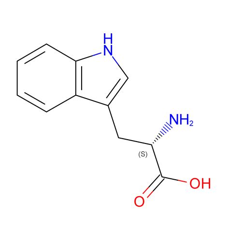 Tryptophan Structure