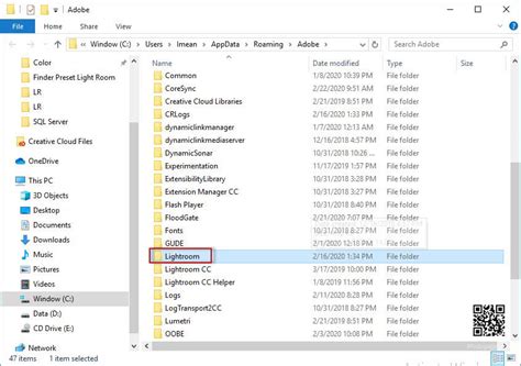 Import Preset Lightroom 04