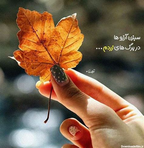 عکس خوشگل زیبا برای پروفایل