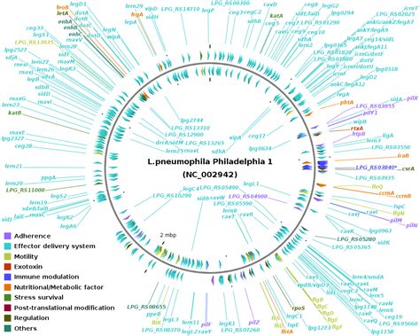 Vfdb Pathogenesis Of Legionella