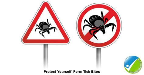 Tick Bite Prevention Week 2019 How To Prevent Yourself From Tick Bite