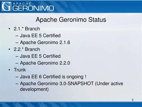 Ppt Dive Into Apache Geronimo 30 Powerpoint Presentation Free