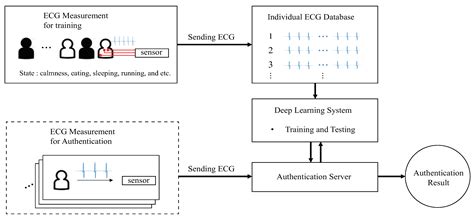 Sensors Free Full Text Ecg Identification For Personal Authentication Using Lstm Based Deep