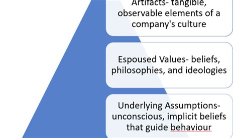 Unveiling Organisational Dynamics A Deep Dive Into Scheins Organisational Culture Model