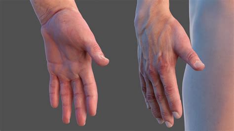 Male Full Body Nude 3D Model 149 3ds Blend C4d Fbx Ma Obj Max Free3D