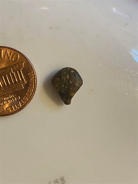 Smallest Fossil I Ve Ever Found Anyone Know What It Is R Fossilid