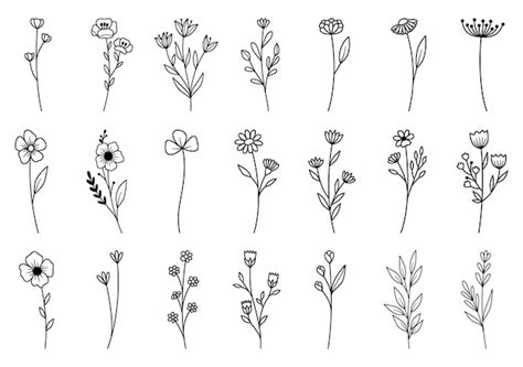 Premium Vector 0019 Hand Drawn Flowers Doodle