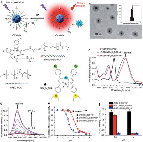 A Ph Activatable And Aniline Substituted Photosensitizer For Near