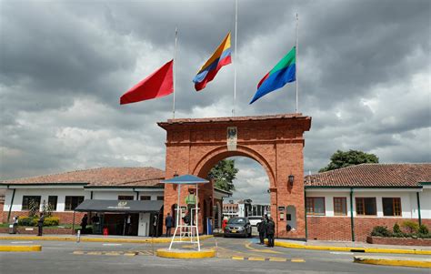 Influenza Ah3n2 ¿de Qué Se Trata La Peligrosa Enfermedad Que Causó La