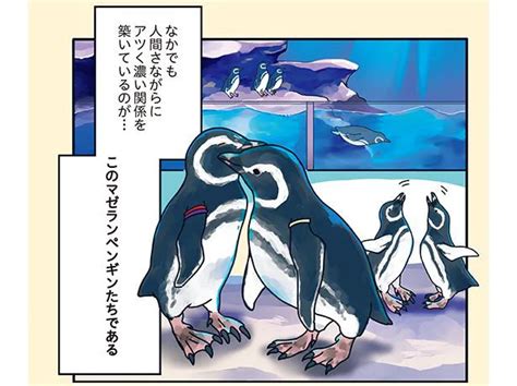 人間以上に複雑なペンギン関係！うぶすぎる2羽の恋模様／下町ペンギン物語（1） レタスクラブ