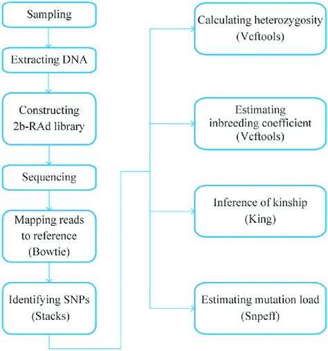 Workflow For Analyzing The Genomic Status Of Endangered Species The
