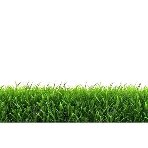 Bright Green Grass Border Isolated 3d Rendering Illustration Grass Isolated Nature Png