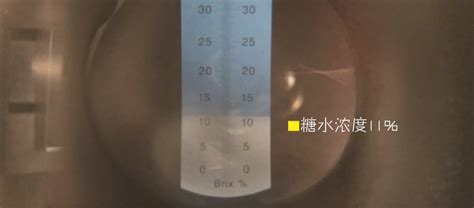 天真了以为少加糖 奶茶里的糖就少了 知乎