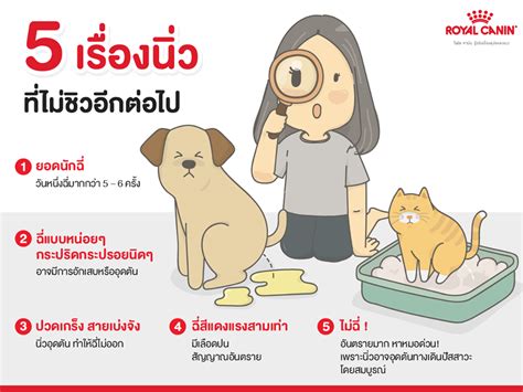 รอบรู้เรื่องแมว โรคนิ่ว โรงแรมแมว Paocathotel