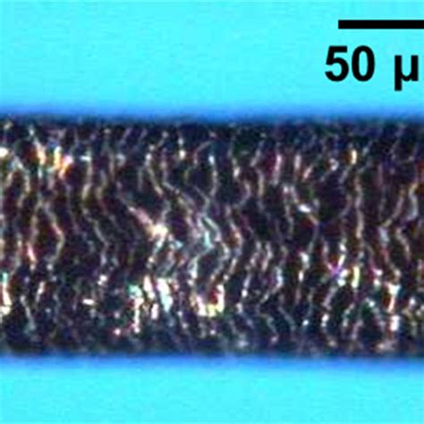 PDF Hair Structures Affecting Hair Appearance