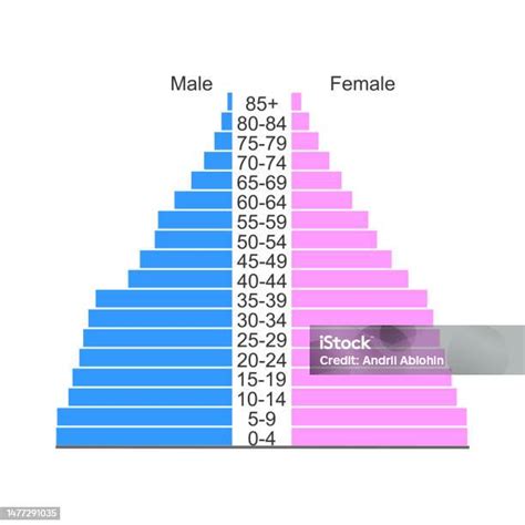Modèle De Pyramide Des Âges Ou De Diagramme De Structure Dâge Isolé Sur