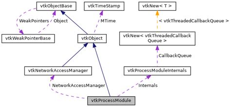 Paraview Vtkprocessmodule Class Reference