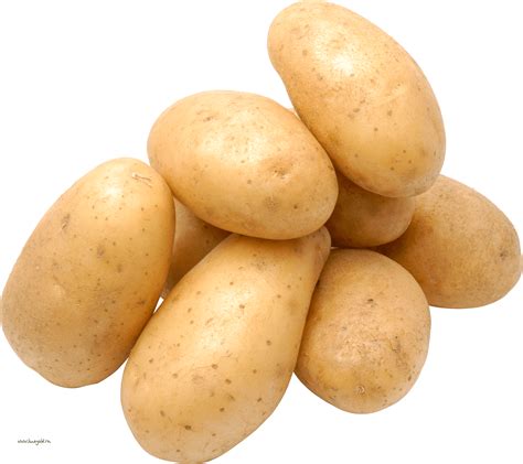 Potato Bag Png