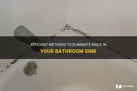 Efficient Methods To Eliminate Mold In Your Bathroom Sink ShunShelter