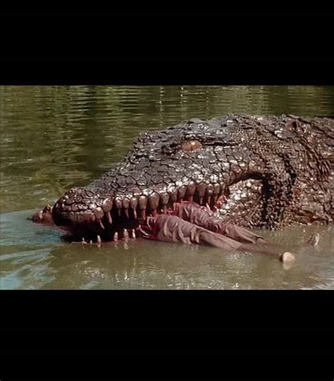 Scp Idea By Scpvsjojo On Deviantart