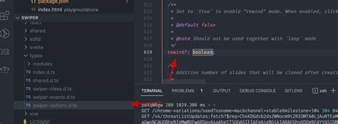 Angular Rewind Is Missing In Swiper Optionsdts · Nolimits4web