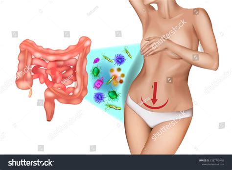 Human Intestine Microflora Digestive Tract Alimentary เวกเตอร์สต็อก ปลอดค่าลิขสิทธิ์