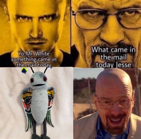 View 14 Mothman Meme Smt Sole Vocico