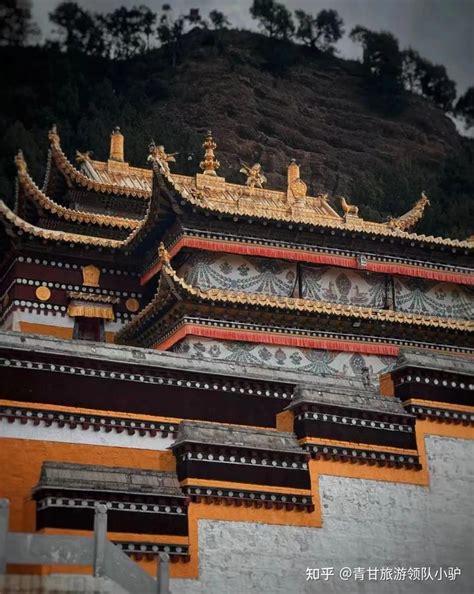 升级版甘南线路来啦~深度游走甘南腹地，从阿万仓湿地到甘加秘境 精品小团 知乎