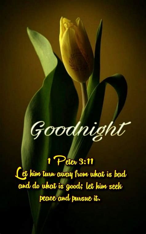 Top 999 Good Night Bible Verses Images Amazing Collection Good Night