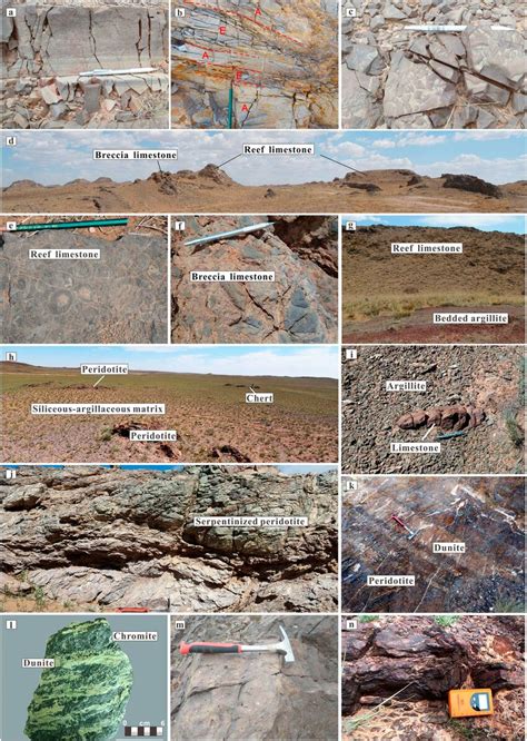 Field Photographs Showing The Relationship And Sedimentary Structures Download Scientific