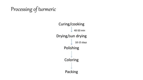 Turmeric Powder Processing Pptx