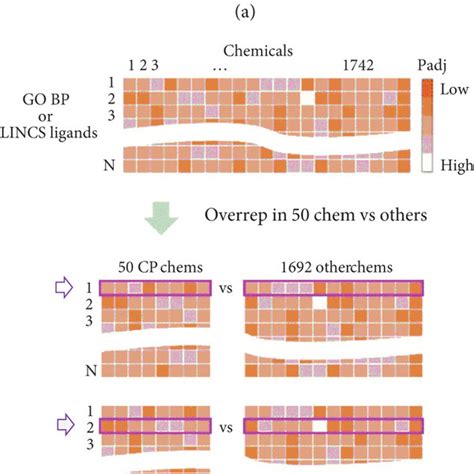 Chemogenomic Enrichment Analysis Cgea Workflow A Enrichments Of Download Scientific