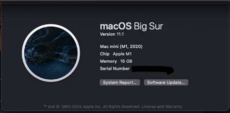 Bug Dictation On Mac Results In Duplicate Text · Issue 4051 · Typora