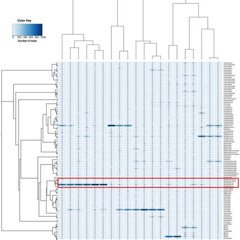 Heatmap Displaying The Relative Abundance Of Otus Per Sample Samples