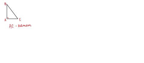 Познач як називають сторону АС у прямокутному трикутнику АВС з прямим углом А а катет
