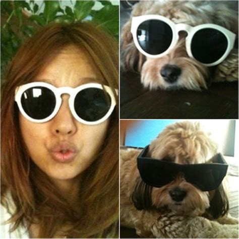 이효리vs순심이 같은 선글라스 다른 느낌 깜찍 순심이 승