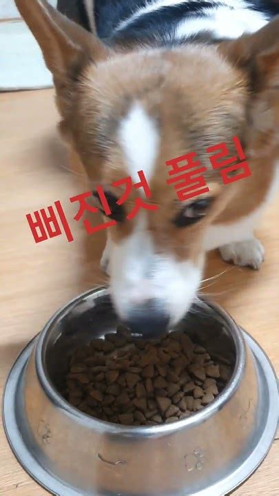 하루종일 금식 아빠 오신다는 소리에ᆢ Youtube