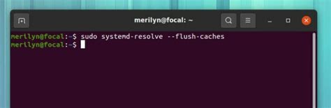How To Flush DNS Cache In Ubuntu Via Systemd FOSTips