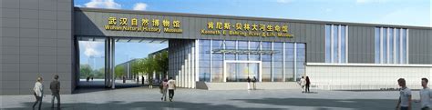 馆校研学合作 武汉自然博物馆“昆虫的奇妙之旅” 走进武汉市江岸区博雅小学 贝林大河生命馆