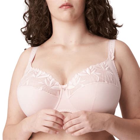 K Cup Breast Size Pictures