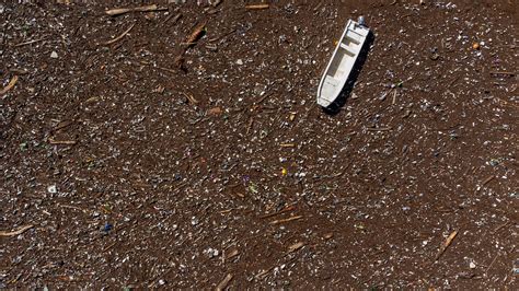 Pressure Grows For Countries To Deliver On Promised Biodiversity