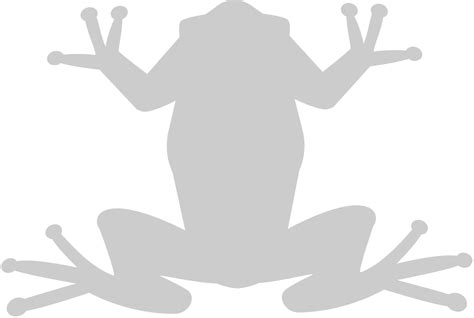 Frog 36654234 Vector Art At Vecteezy