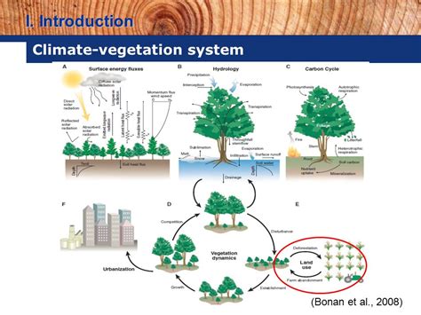 Reconstructing Holocene Deforestation And Its Possible Climatic