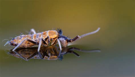 Das erste Mal Forum für Naturfotografen
