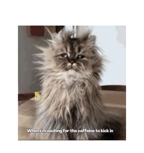 Sleep Deprived Animated  Maker Piñata Farms The Best Meme