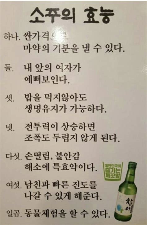 소주의 효능 유머 움짤 이슈 에펨코리아