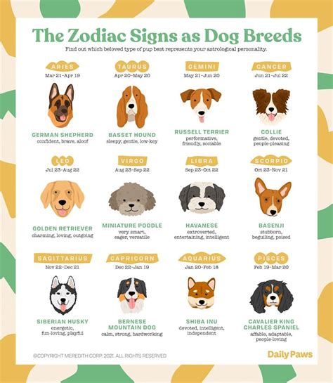 Dog Breed Based On Zodiac Sign Zodiac Elements Explained