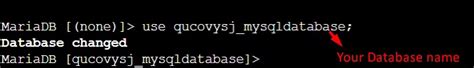 How To Connect To Mysql From The Command Line Web Hosting Kb